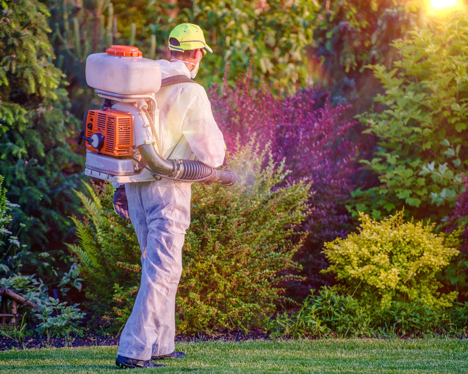 Beragam Metode Terbaik dalam Upaya Pengendalian Hama